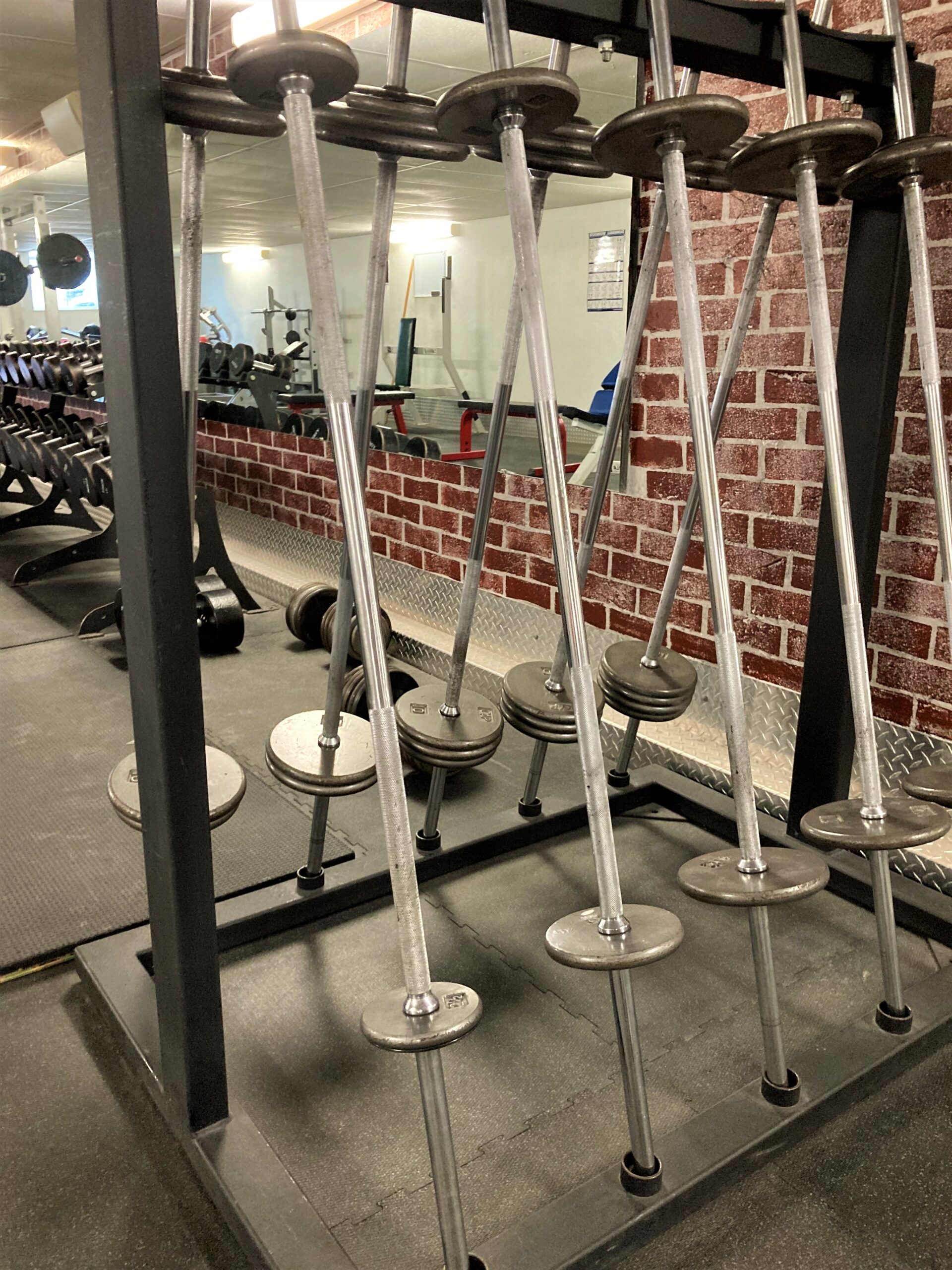 Gym Equipment – Versailles Fitness Center